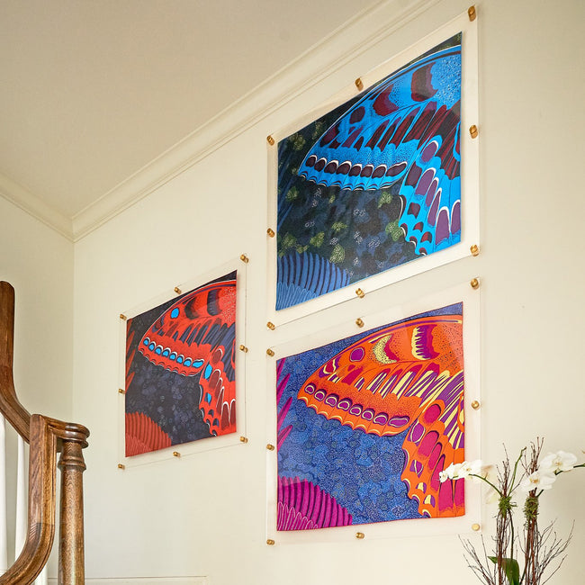 Floating Acrylic Frame for 30x40" Photos | UV Grade – Wexel Art